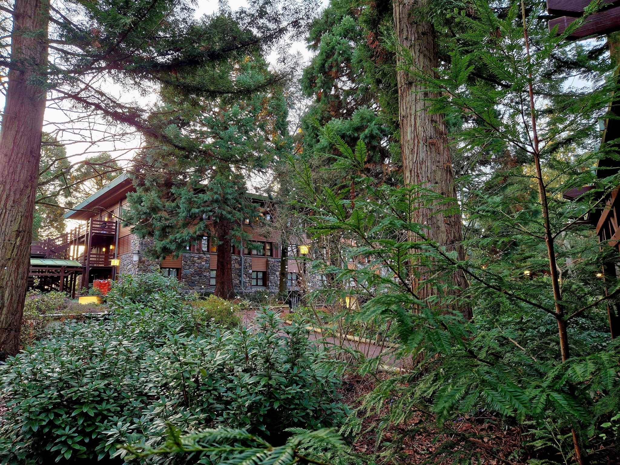 Disney’s Sequoia Lodge